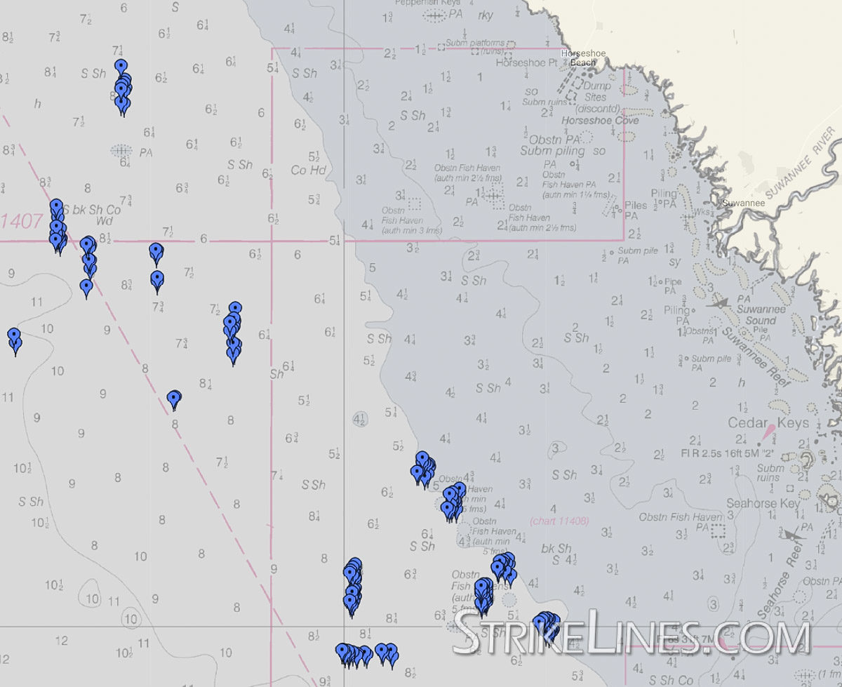 Big Bend Offshore – StrikeLines Fishing Charts