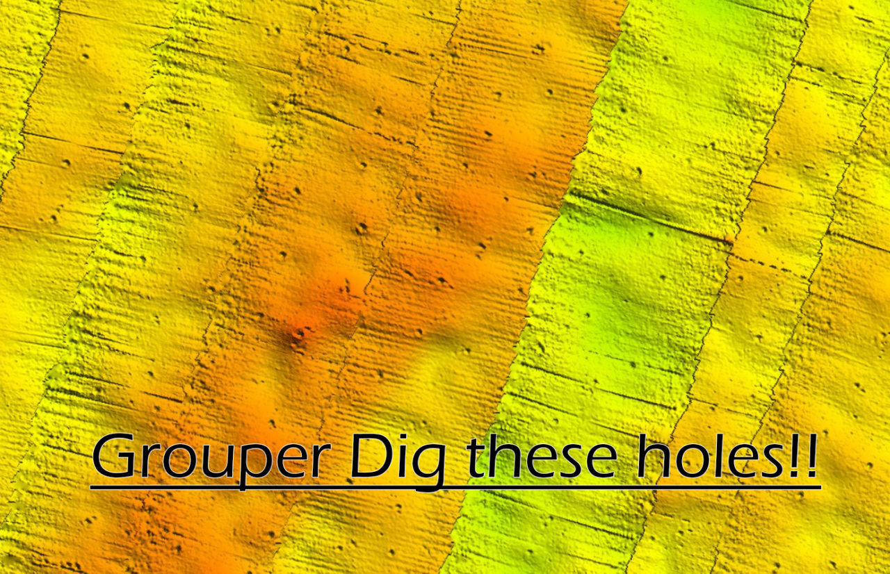 3D Pulley Ridge – Southwest Florida – StrikeLines Fishing Charts